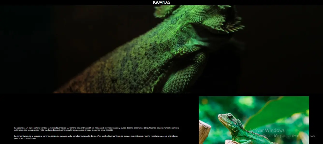 CV-Portafolio Jose Carmona